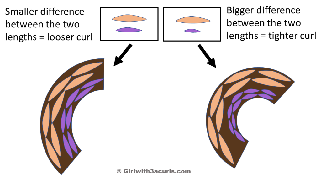 curl diagram - Check That Hair Fact!